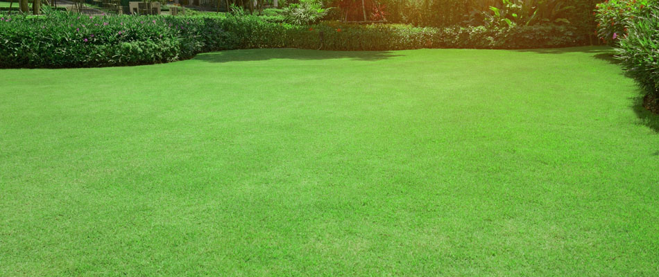 Core Aeration & Overseeding Services in Emmitsburg, MD | Environmental ...